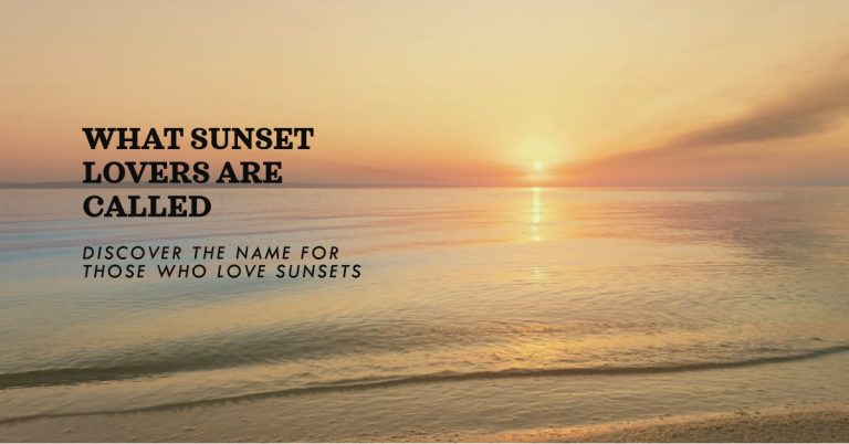 What Does Sunset Lover Called? - Infomatly